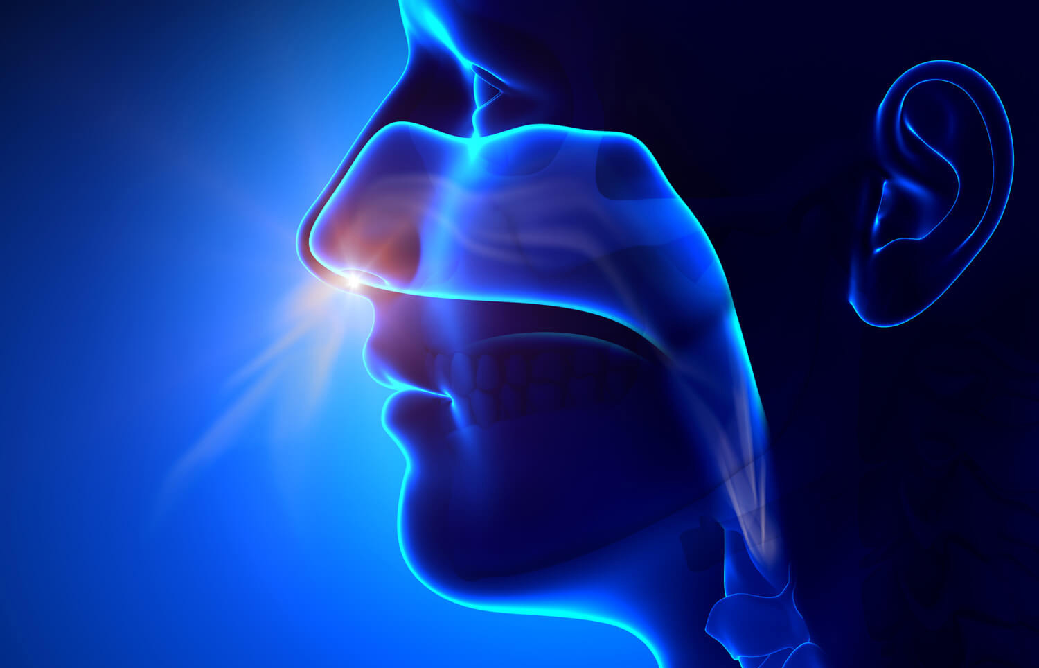 Spánková apnoe – příčiny, příznaky, léčba | iSpanek